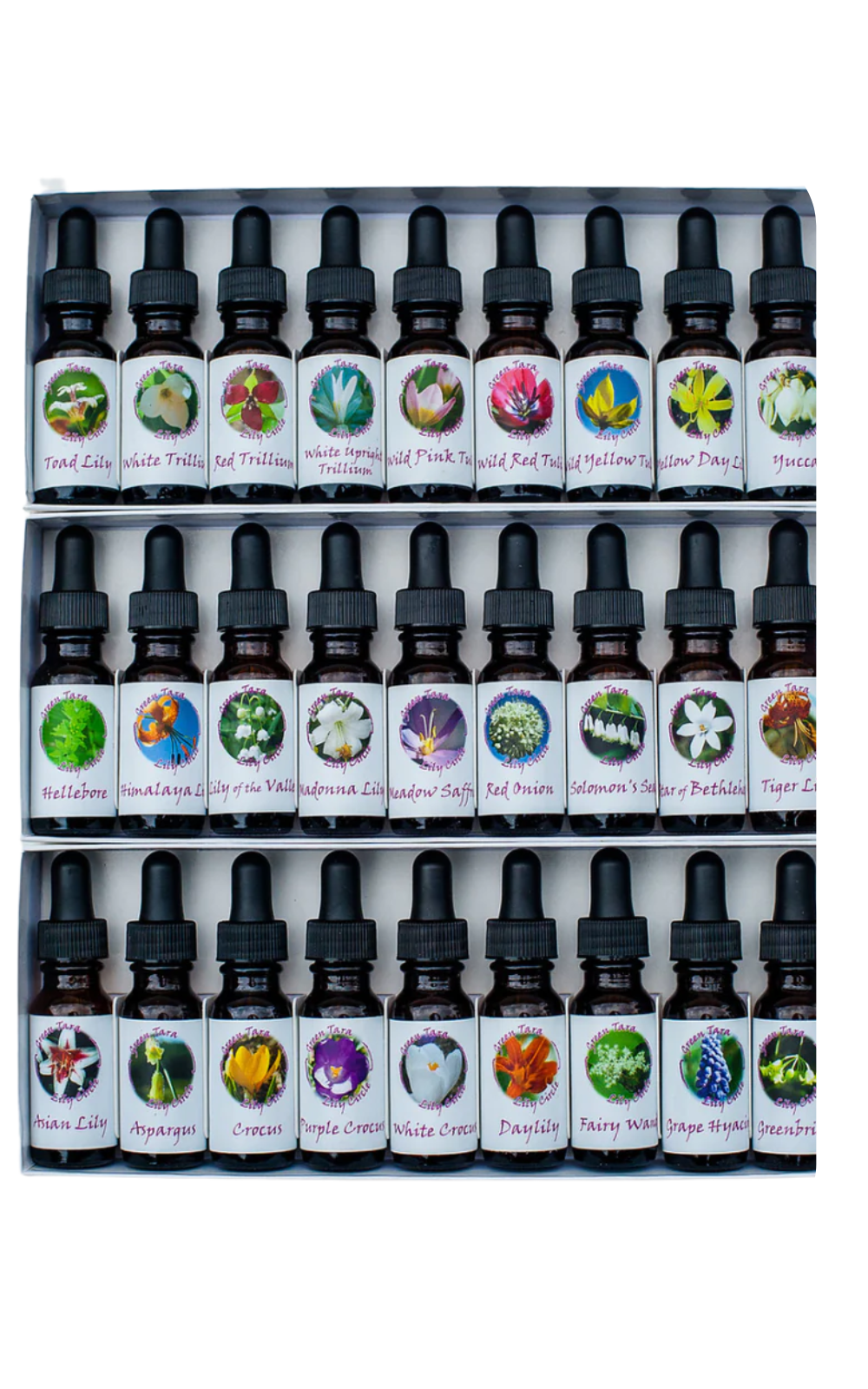 Professional Lily Kit – juliagraves